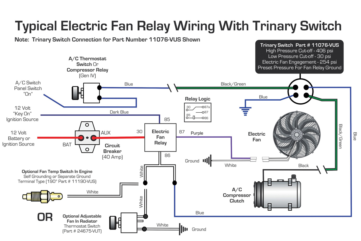 Champion Radiator Electric Fan Wiring Diagram Circuit Diagram